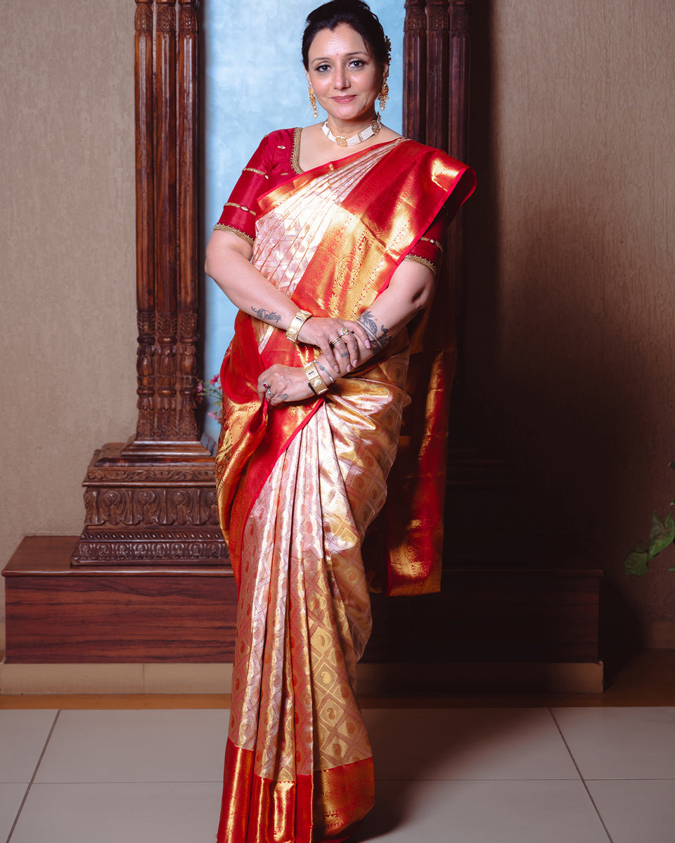 Red Tissue Saree | Buy Red Tissue Silk Saree at House of Hind